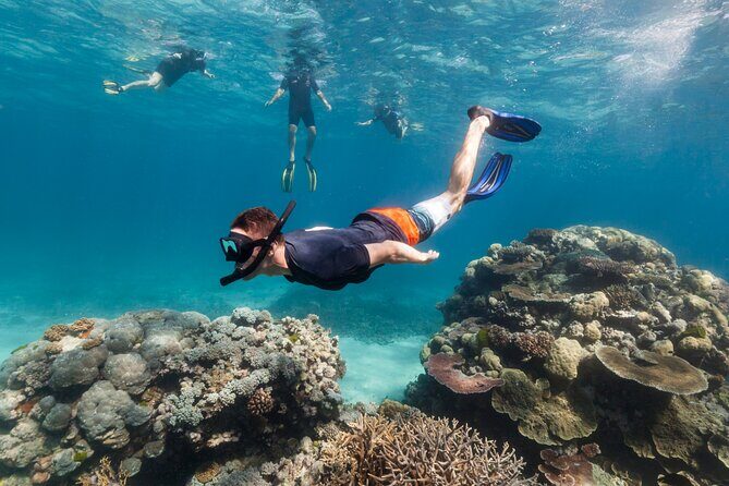Snorkeling activity with Boat ride from Montego Bay - Who Is This Tour Best For?