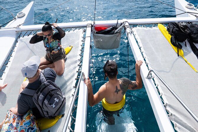 Snorkeling Adventure at Turtle Canyon - The Experience of the Reviews