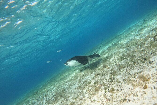 Snorkeling adventure in El Cielo, El Cielito, Palancar and Colombia. - An Honest Look at the Itinerary and Experience