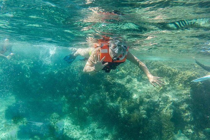 Snorkeling Adventure in Isla Mujeres - Practical Details and Tips
