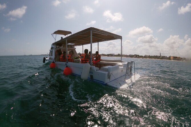 Snorkeling Adventure in Puerto Morelos - What You Can Expect from the Tour