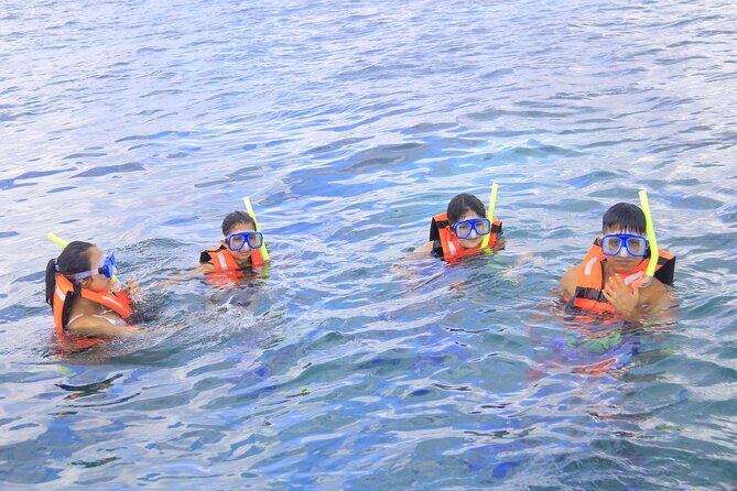 Snorkeling Adventure in Puerto Morelos Includes snack, Water and Round Trip. - What Makes This Tour Special?