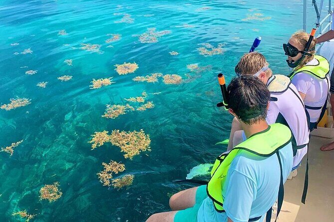Snorkeling Adventure in Tulum Beach, Kaan Luum Lagoon and Cenote - An In-Depth Look at the Tour