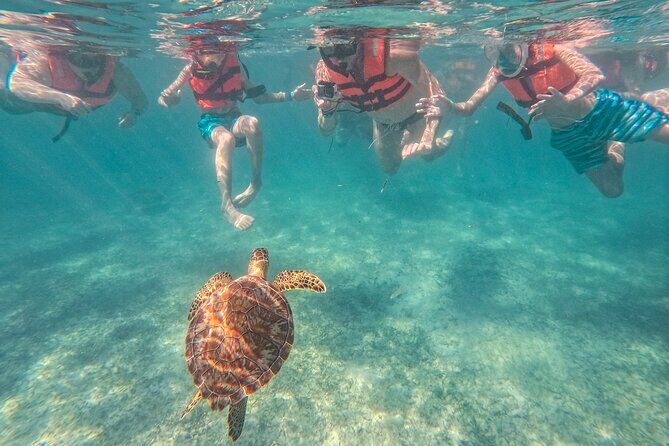 Snorkeling Adventure Swim with Sea Turtles at Akumal - The Facilities and Convenience