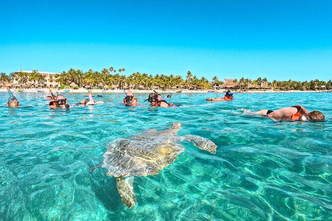 Snorkeling Adventure Swim with Sea Turtles at Akumal - What the Experience Feels Like