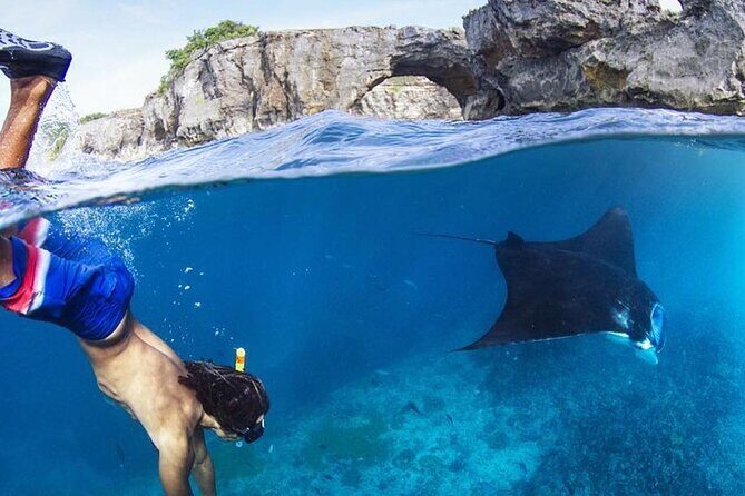 Snorkeling adventure to the manta ray habitat in Nusa Penida - Key Points