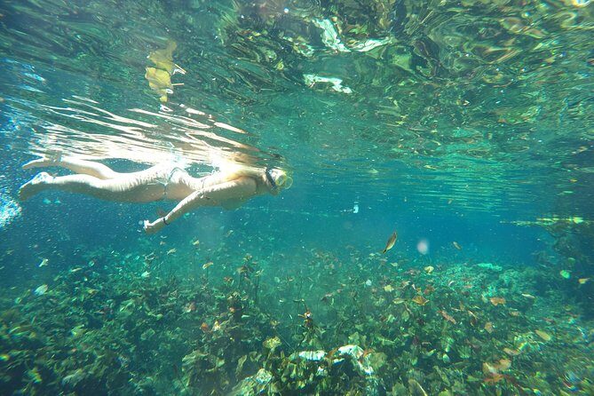 Snorkeling Adventure Tour Reef & Cenote - Final Thoughts — Is It Worth It?