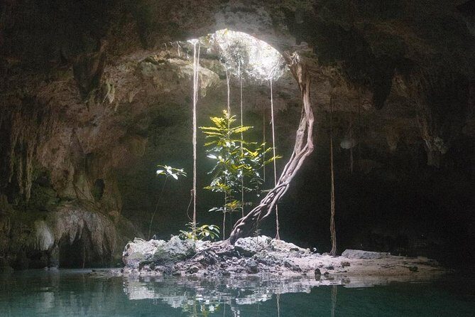 Snorkeling Adventure Tour Reef & Cenote - FAQ — Quick Answers to Common Questions