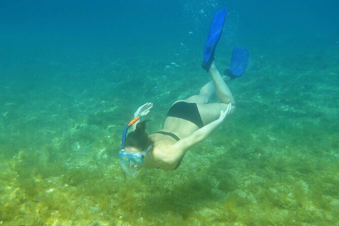 Snorkeling Adventure with East Nusa Penida Tour All Inclusive - Crystal Bay: Clear Waters and Coral Reefs