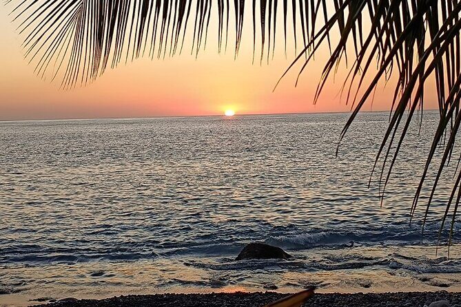 Snorkeling Adventure with Guide - Who Would Love This Tour?