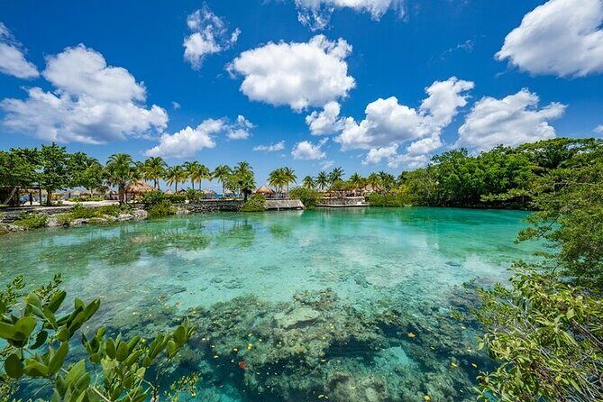 Snorkeling Adventure with Lunch and Tequila Tour - Final Thoughts