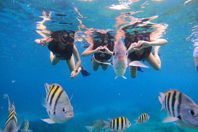 Snorkeling Adventure with Lunch and Tequila Tour - Frequently Asked Questions