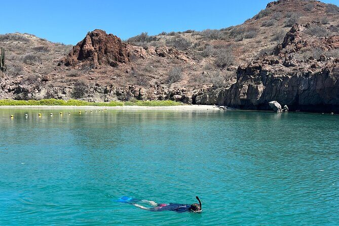 Snorkeling Adventure with Picnic from Villa del Palmar Hotel - A Detailed Look at the Loreto Snorkeling Tour