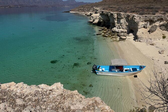 Snorkeling Adventure with Picnic from Villa del Palmar Hotel - Who Will Love This Experience?