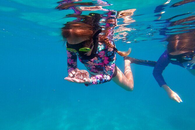 Snorkeling Aguadilla for Families with Children - An In-Depth Look at the Snorkeling Aguadilla Tour