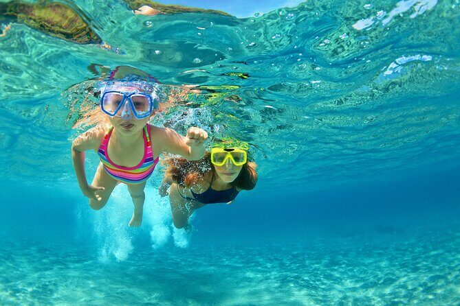Snorkeling and Dolphin Watching Experience in Destin - Snorkeling and Dolphin Watching in Destin: A Practical Guide