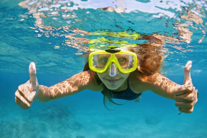 Snorkeling and Dolphin Watching Experience in Destin - Key Points