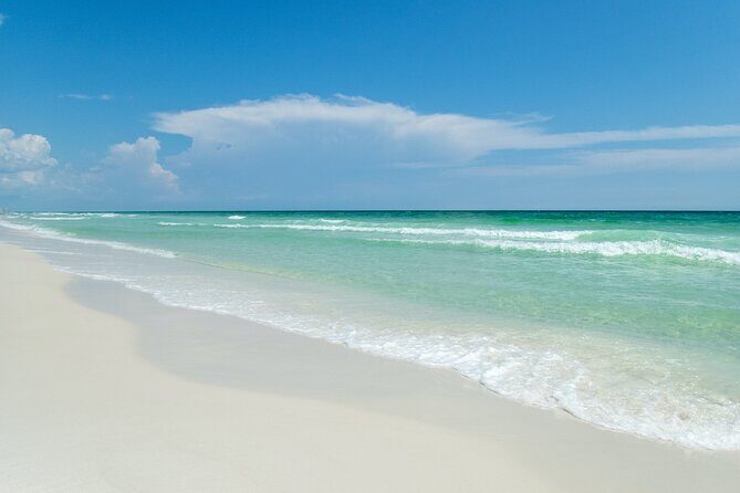 Snorkeling and Dolphin Watching Experience in Destin - Authenticity and Popularity