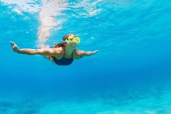 Snorkeling and Dolphin Watching Experience in Destin - The Sum Up