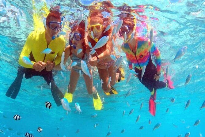 Snorkeling and Dolphin Watching with Lunch Package - The Practical Side