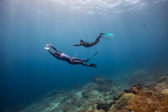 Snorkeling and Freediving Trip around Nusa Penida - Authentic Encounters and Honest Feedback