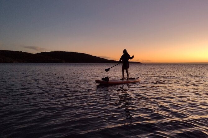 Snorkeling and Paddle Boarding Adventure in La Paz - What to Expect from the Paddle Boarding and Snorkeling Tour in La Paz