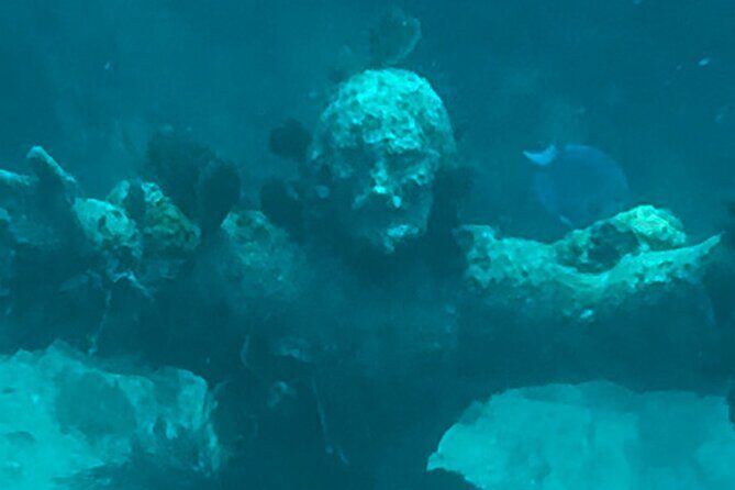 SNORKELING and SANDBAR ADVENTURE! - An In-Depth Look at the Snorkeling and Sandbar Adventure