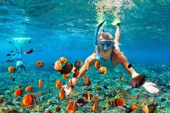 Snorkeling and Shopping Tour in Montego Bay with pick up - Key Points