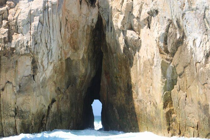 Snorkeling and whale watching Tour in Cabo - FAQ
