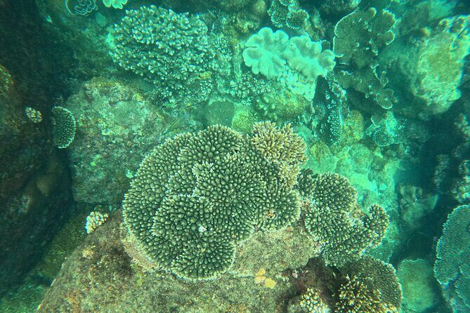 Snorkeling at Angel Rock - Cost and Value