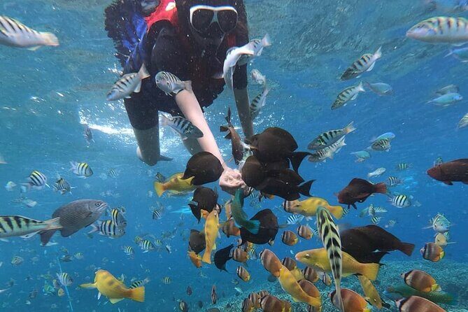 Snorkeling At Blue lagoon And Hidden waterfall - Transport and Comfort