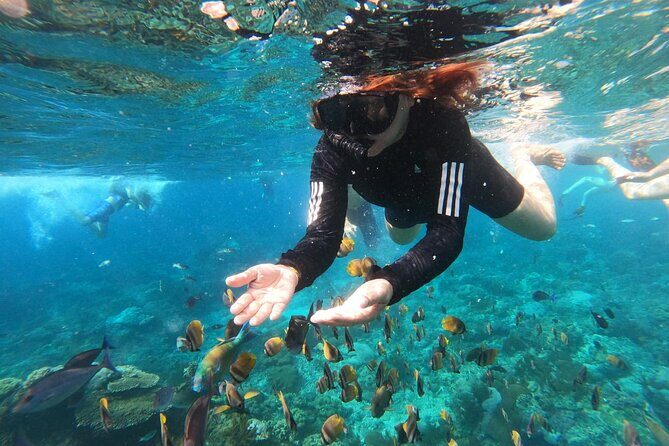 Snorkeling at Blue Lagoon & Tanjung Jepun All Inclusive - Key Points