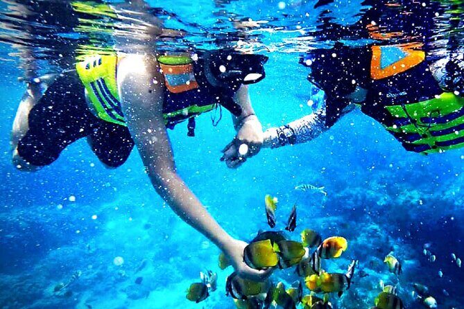 Snorkeling at Blue Lagoon & Tanjung Jepun All Inclusive - The Itinerary Breakdown