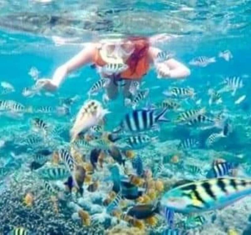 SNORKELING AT BLUELAGOON SPOT - A Deep Dive into the Experience