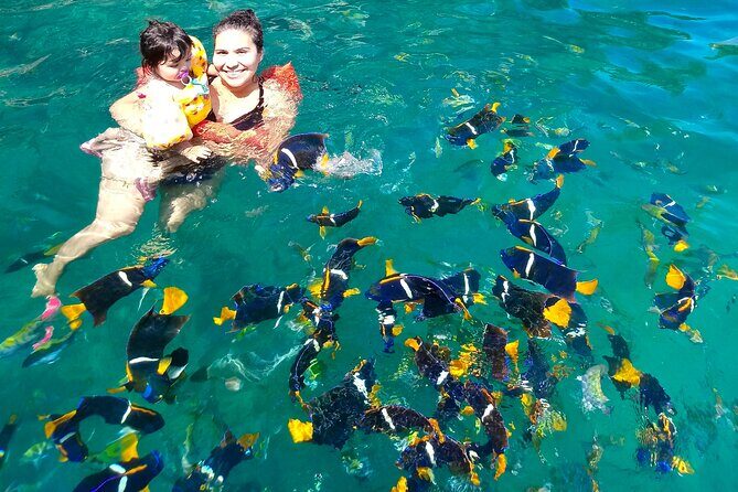 Snorkeling at Los Arcos 5 islands Hidden Beach and Cliff Jumping - Return to Mismaloya Beach