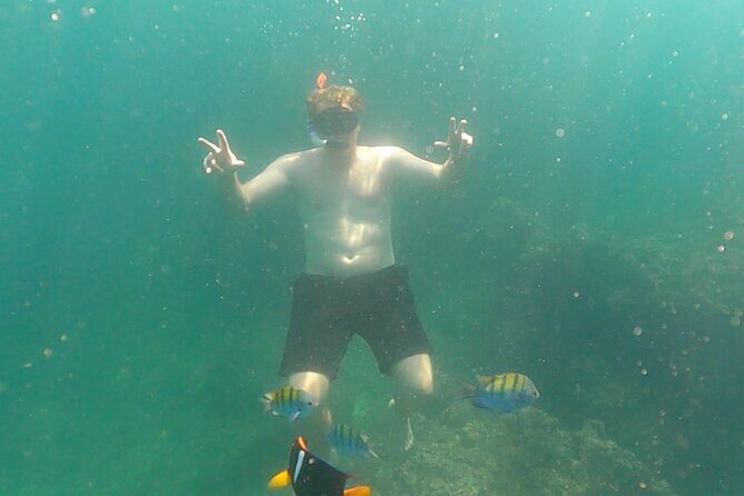 Snorkeling at Los Arcos 5 islands Hidden Beach and Cliff Jumping - Practical Details: Making the Most of Your Trip