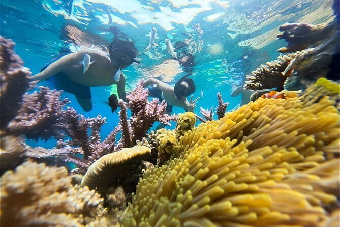 Snorkeling at m By island - FAQ