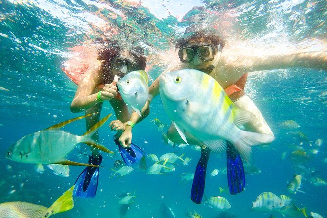 Snorkeling at Pelicans Rock - FAQs