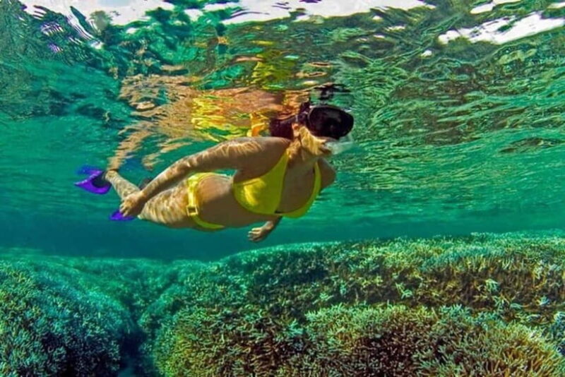 Snorkeling at Pigeon Island Trincomalee - What to Expect from Your Snorkeling Trip