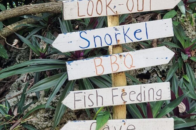 Snorkeling at Top Rock with Yumi Tours - Assessing the Value