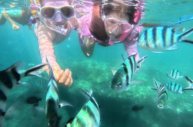Snorkeling Blue Lagoon and Tanjung Jepun All Inclusive - Who Will Love This Tour?