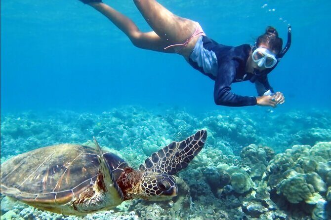 Snorkeling Blue Lagoon with Guide & Gate Heaven Temple - Final Thoughts
