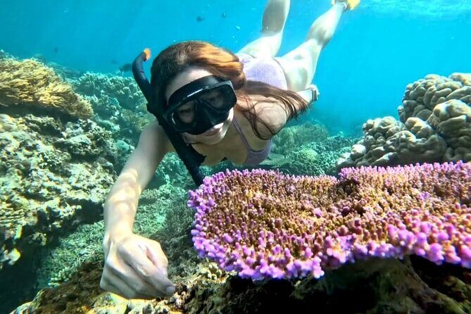 Snorkeling Blue Lagoon With lunch - Who Is This Tour Best For?
