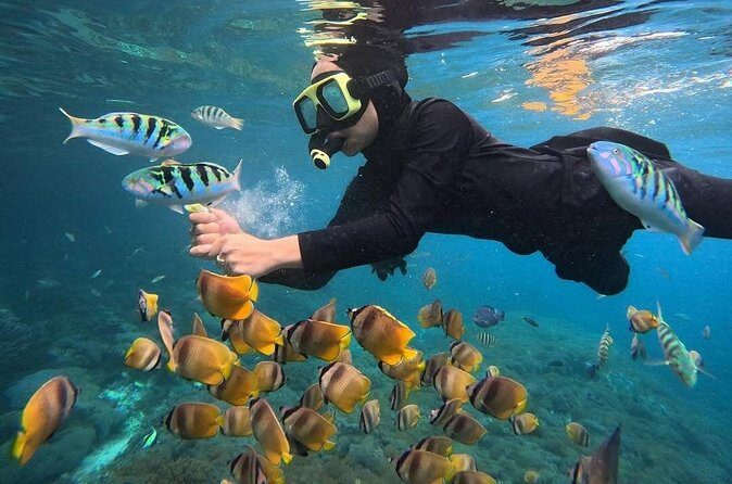 Snorkeling Blue Lagoon With lunch - FAQs