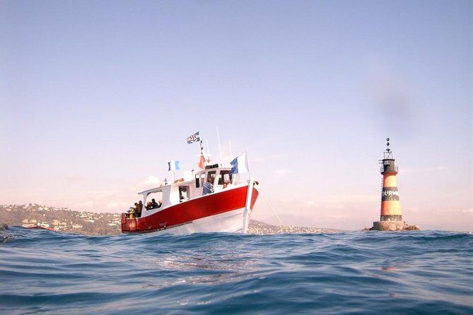 Snorkeling - By boat on site in the Bay of Cannes or Estérel - Final Thoughts