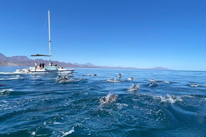 Snorkeling Catamaran Island Cruise - TheItinerary In-Depth: What to Expect