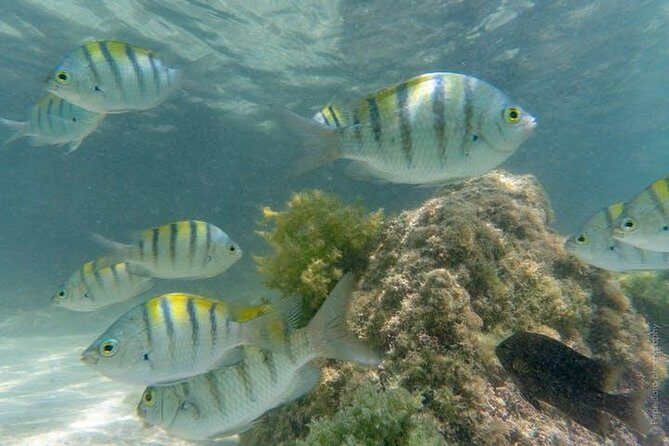 Snorkeling Catamaran Island Cruise - The Final Word