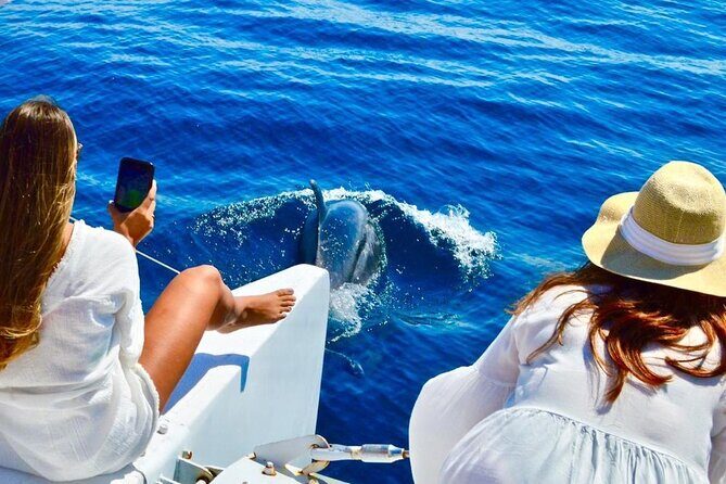 Snorkeling Catamaran Tour at Santa Maria Bay - The Small Details That Matter