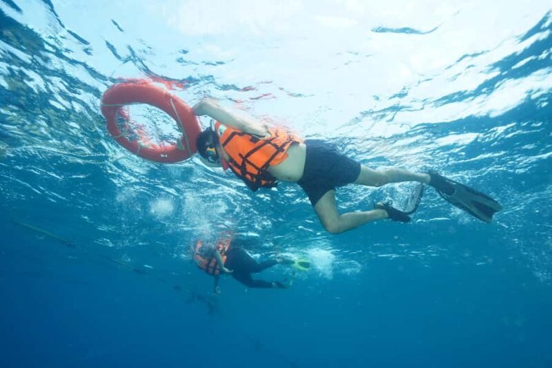 Snorkeling course, become a confident snorkeler. - Exploring the Snorkeling Course on Koh Chang: What You Can Expect