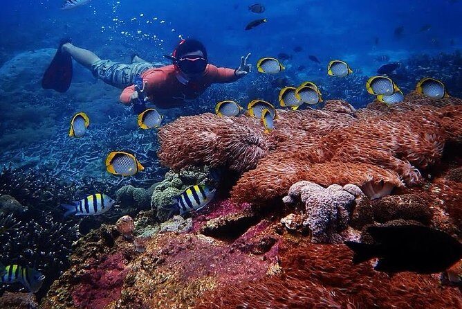 Snorkeling Day Trip To Lembongan and Penida - The Itinerary in Detail